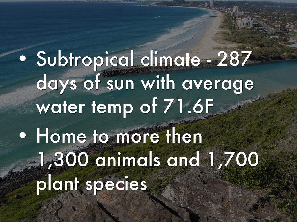 Gold Coast by Dakota Dutton