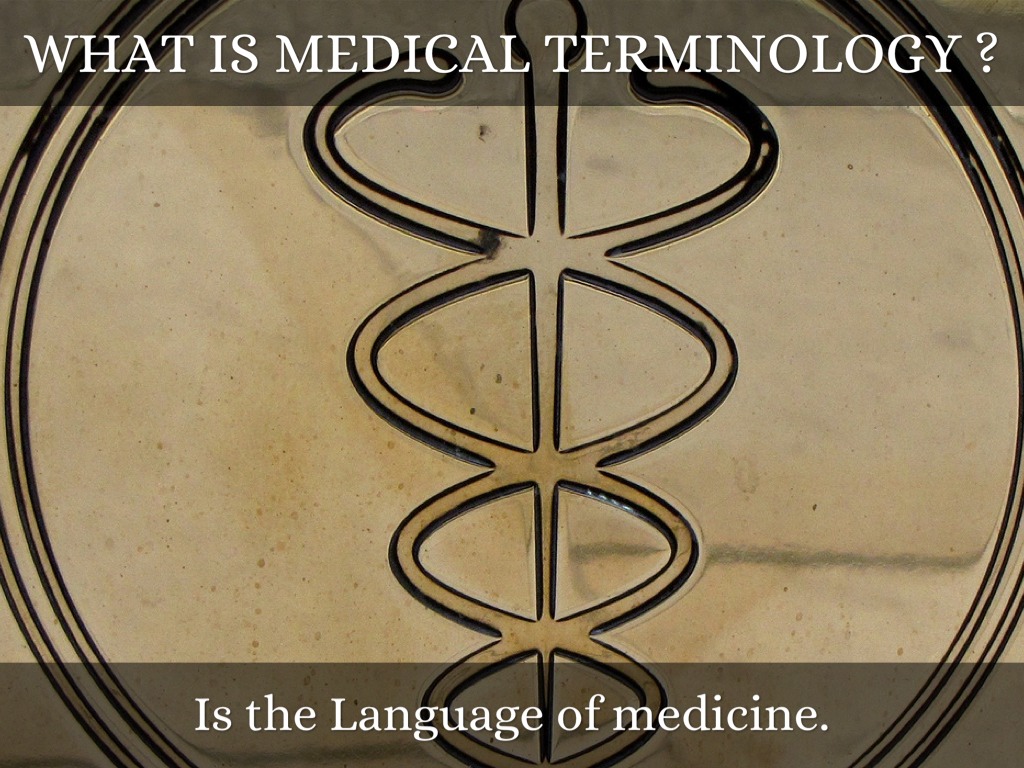 What Is Haiku Deck? by Nataly Peralvo