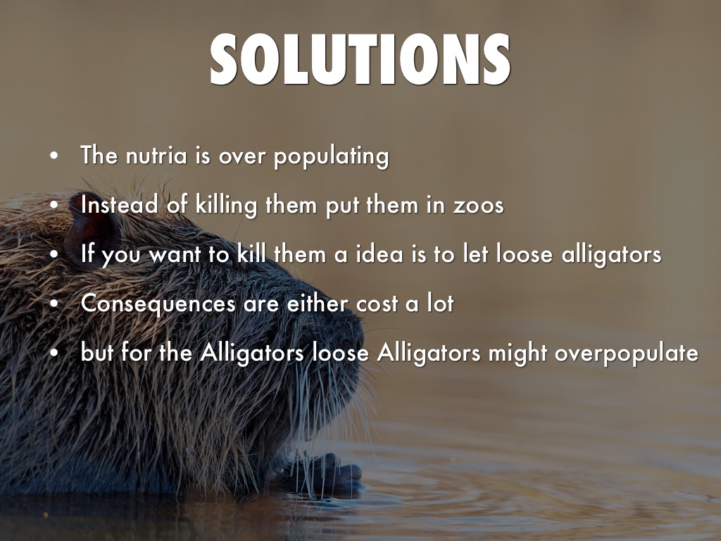 Nutria By Nick by Matt Lunt