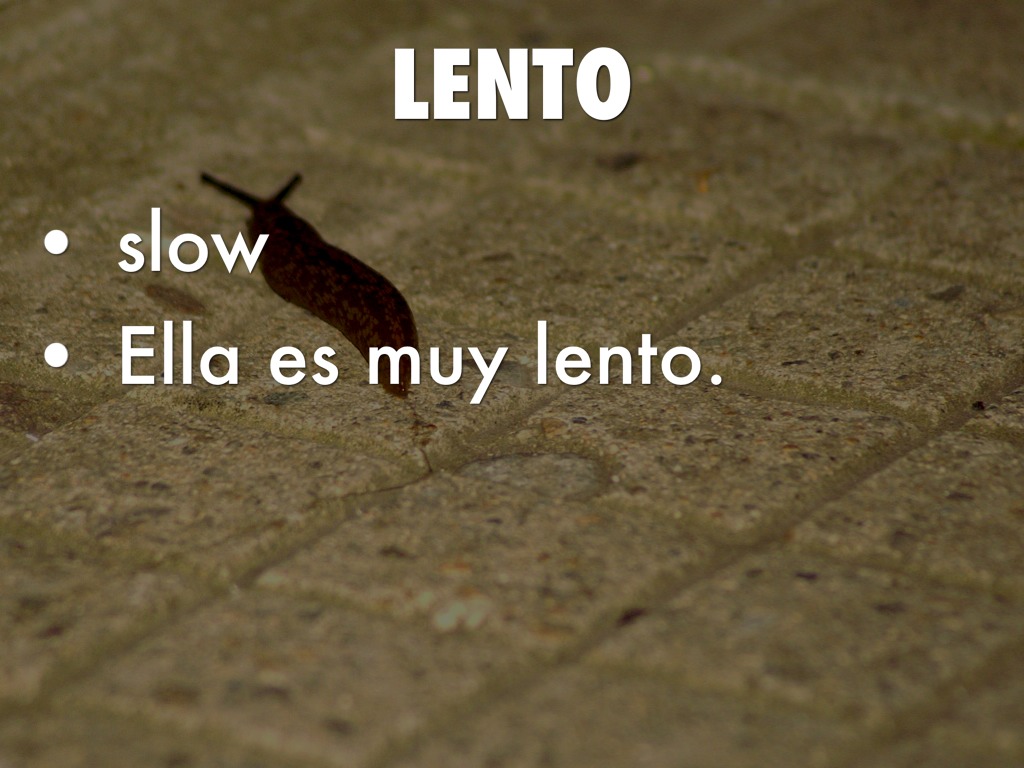 Unit 2 Lesson 1 Vocab by jennifer.liska