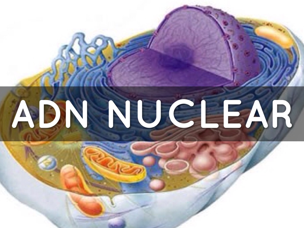 Genetica Forense by Alejandro Carrola