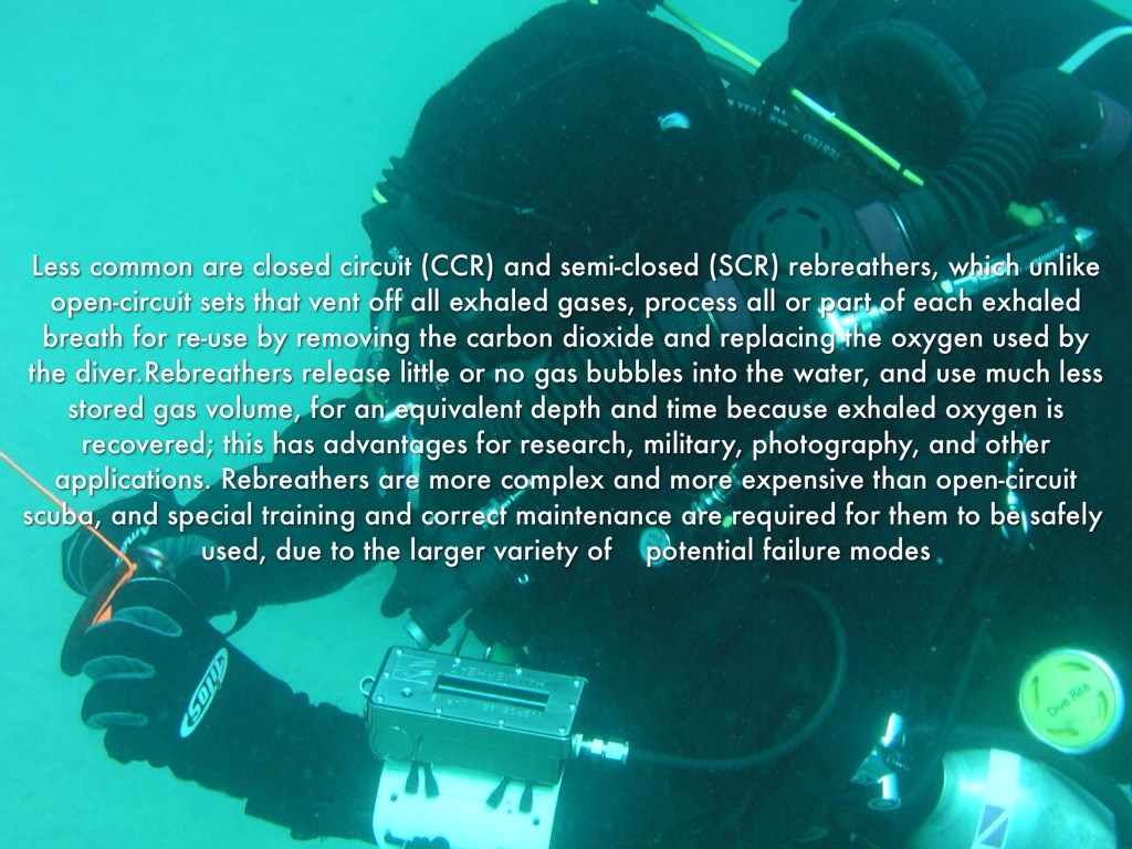 Scuba Diving by Callum Grant