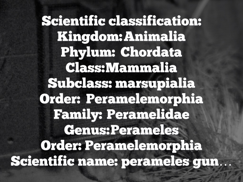 healsville project by Aaron Moore