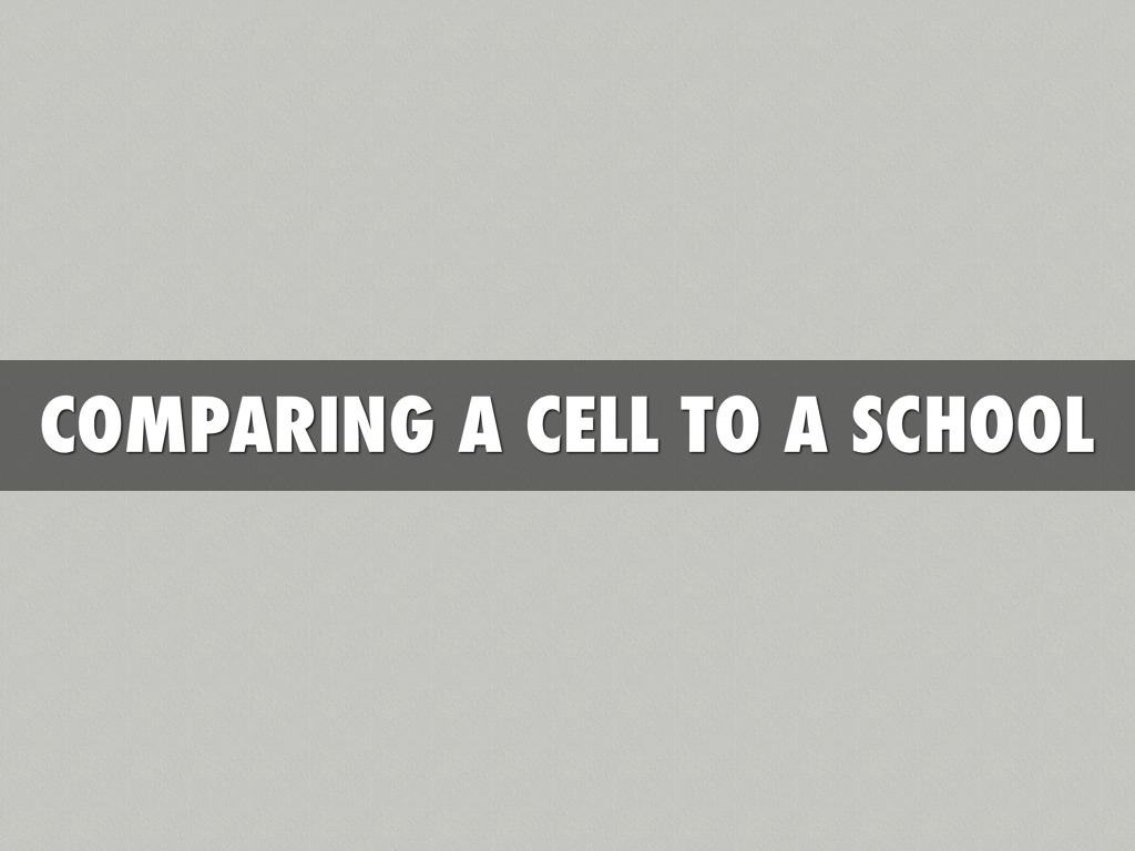 Comparing A Cell To A School by lxc2392