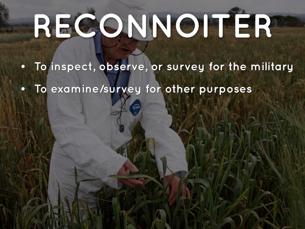 Gaby Tan WM Blue by Gaby Tan