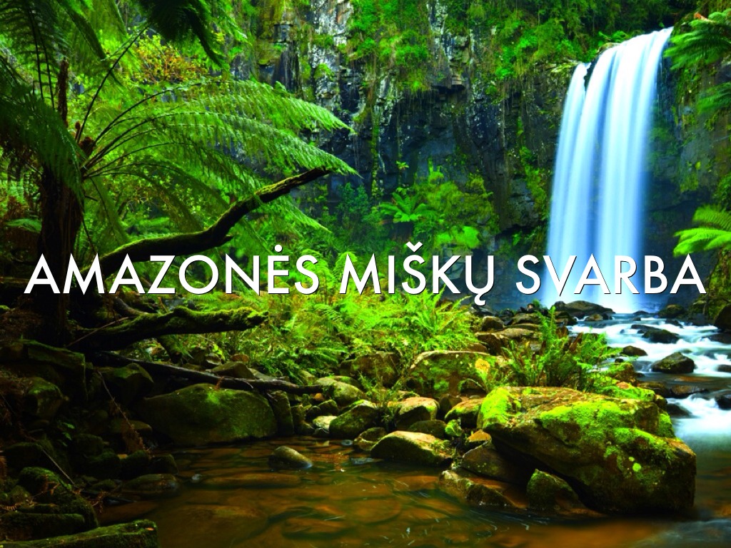 Amazonės miškų likimas