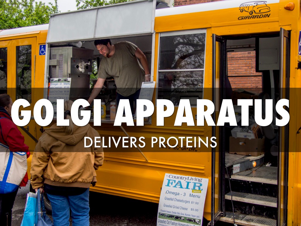 Cosgrove Sarabia 6 by Grace Cosgrove