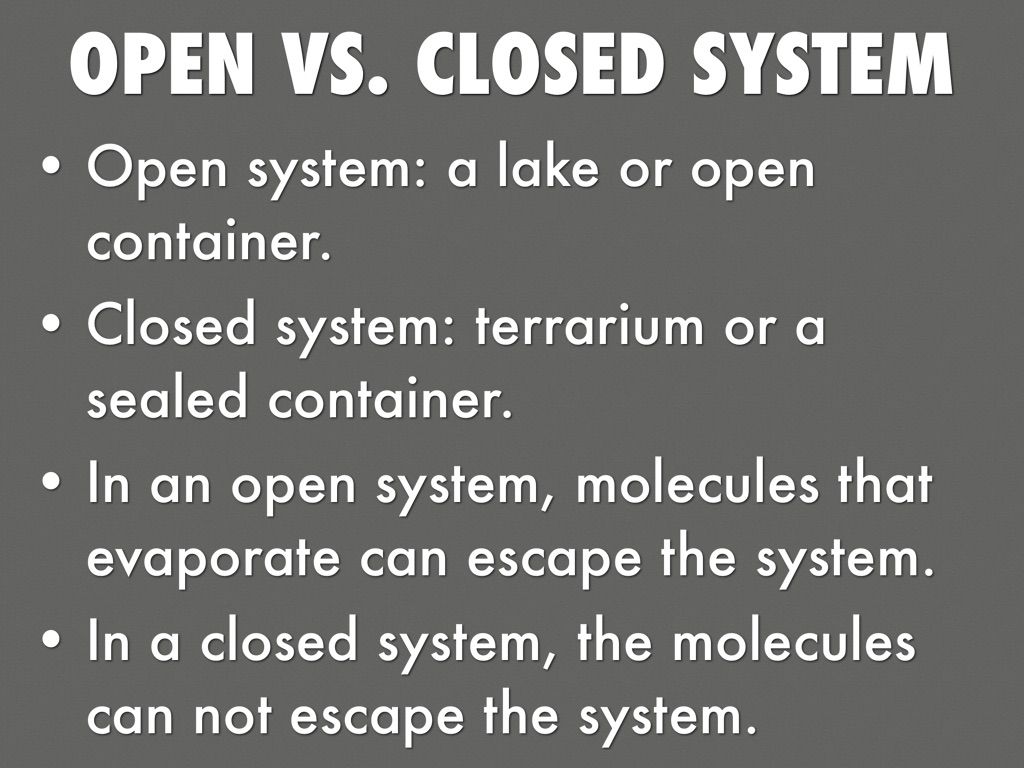 presentation by Taytum Klinger