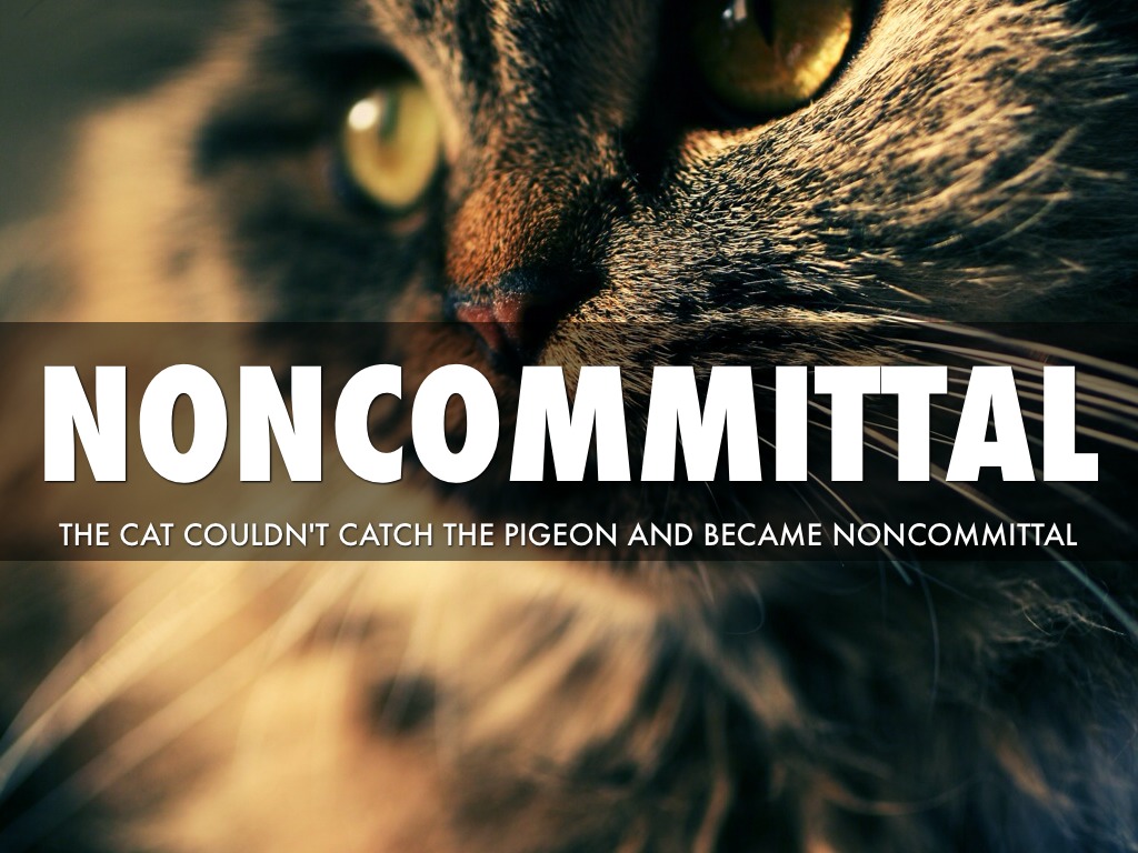 What Is Haiku Deck? by ialden