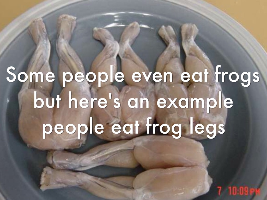 Endangered Animals by Logan Reich