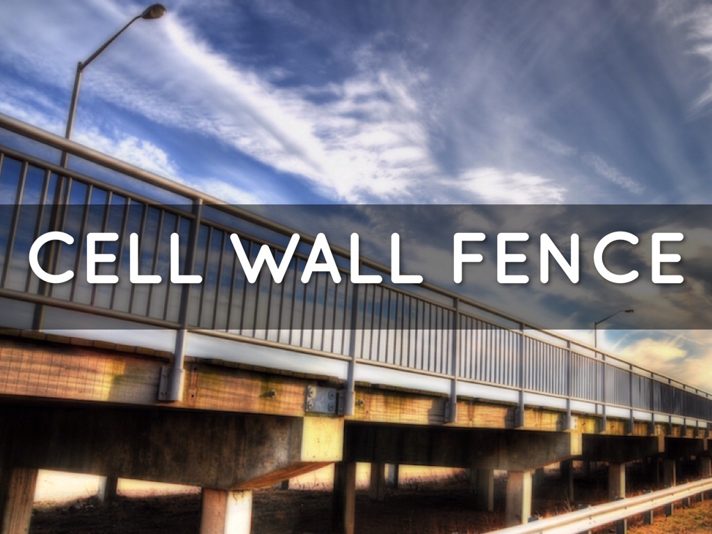 Cell Project by Dana Ogilvie