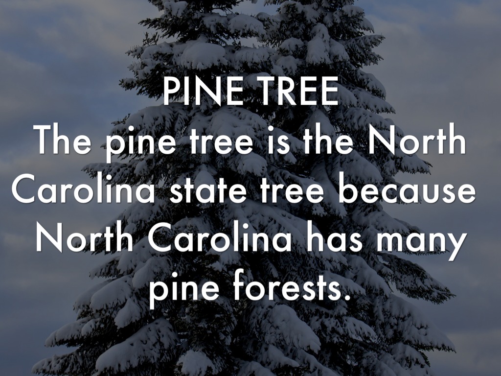 North Carolina by Hudson Adams