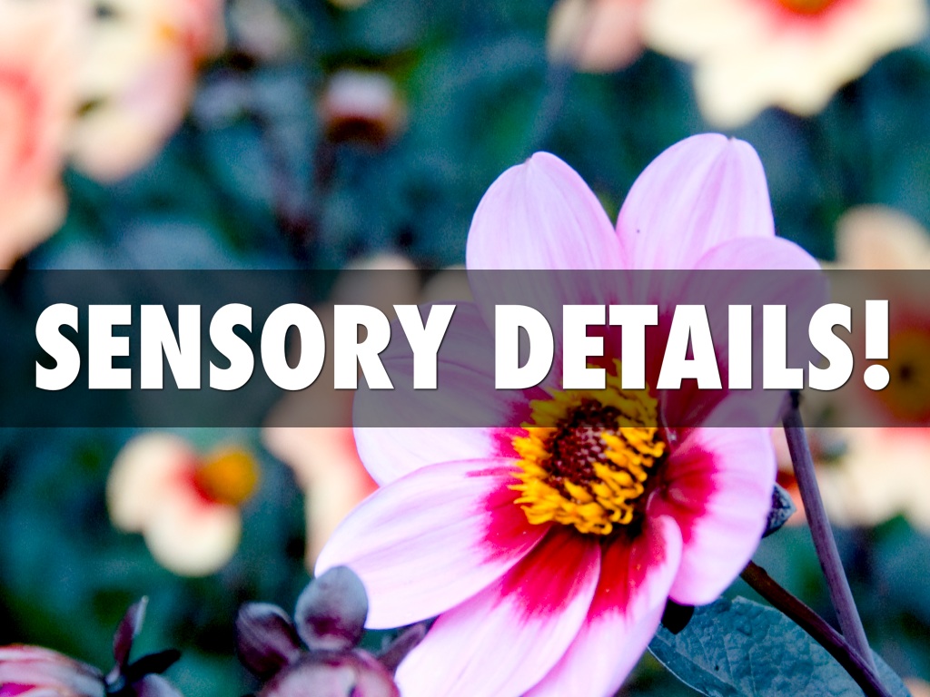 Sensory Details by Prissy Brown