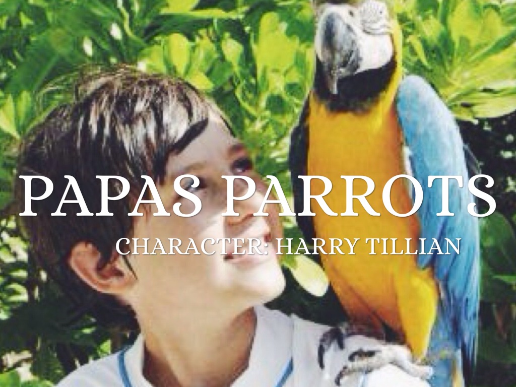 English Project by Brianna Cordova