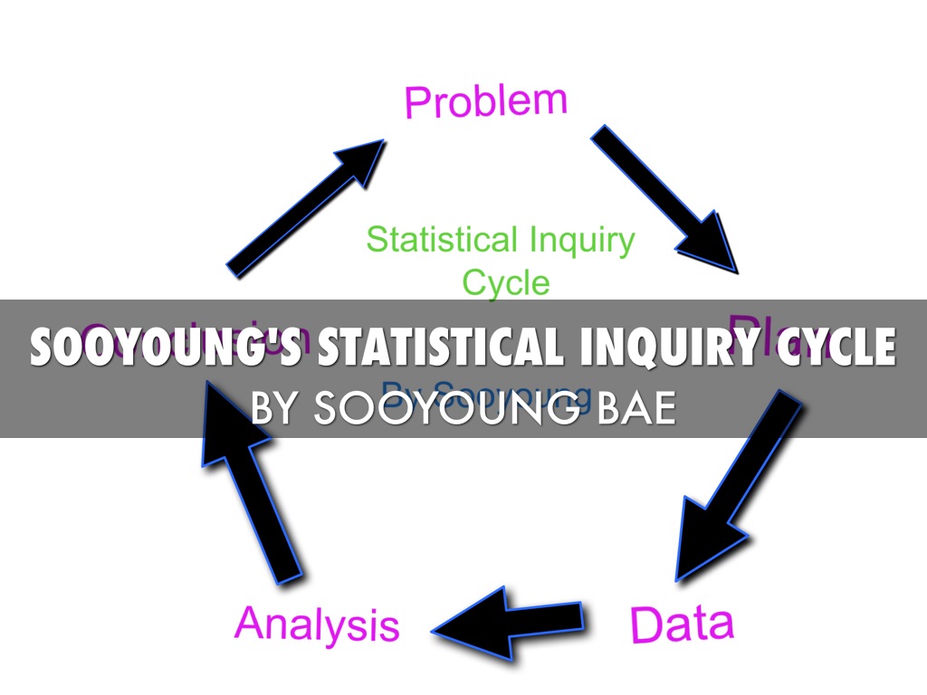 Statistical Inquiry Cycle by Sooyoung Bae