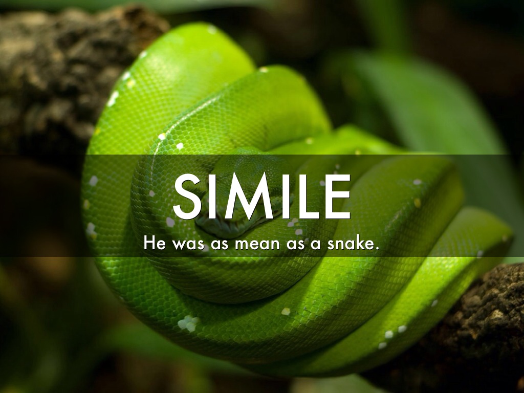 Figurative Language Booklet by Nathan Kiger