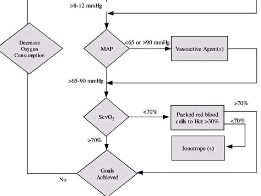 Leptospirosis by Maxy Waxy