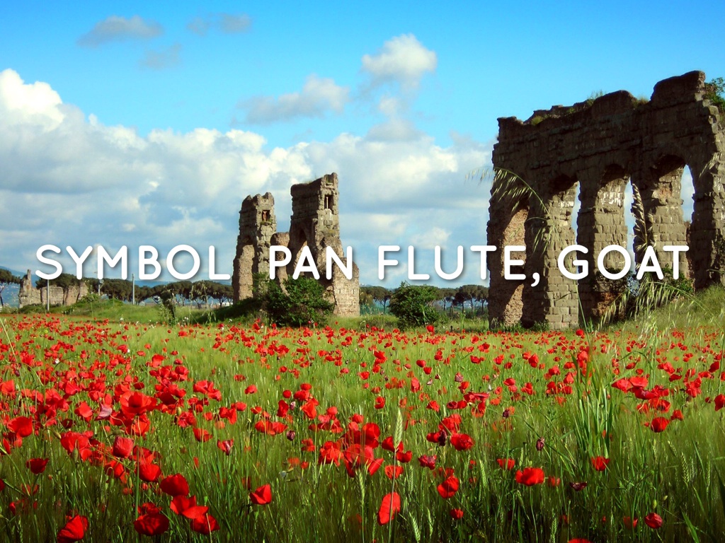 Pan by Nick Moscatelli