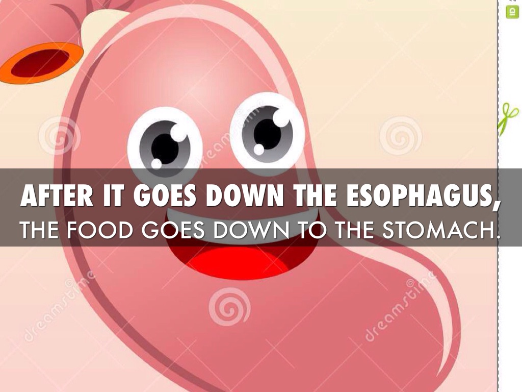 Allie Explores Her Tummy by sarah daltom