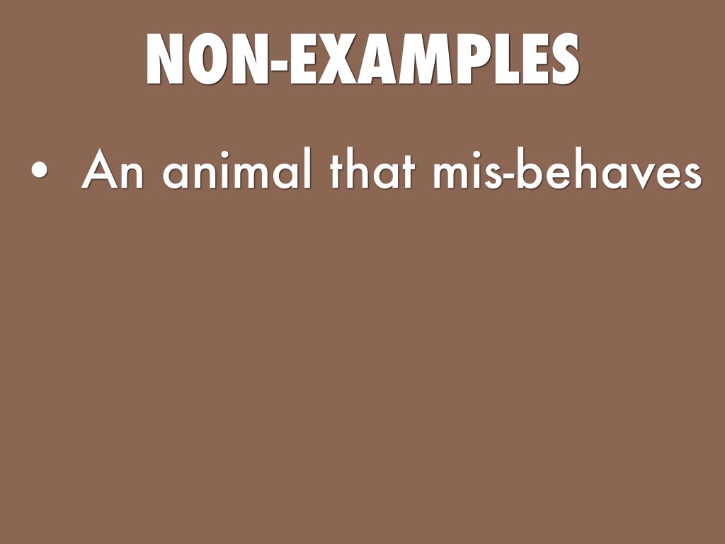 Classification and Domestic Animal by Jasmyn Franklin