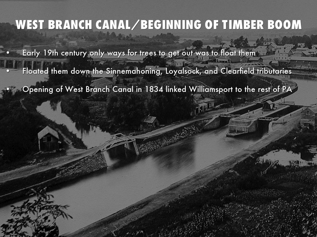 Matt Bean by mbean26