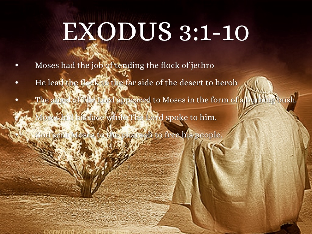 Exodus By Megan Medlin Exodus By Megan Medlin