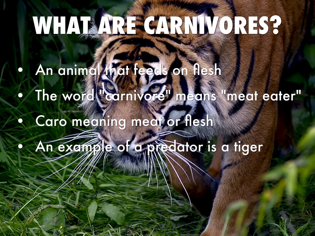 Carnivorous Definition