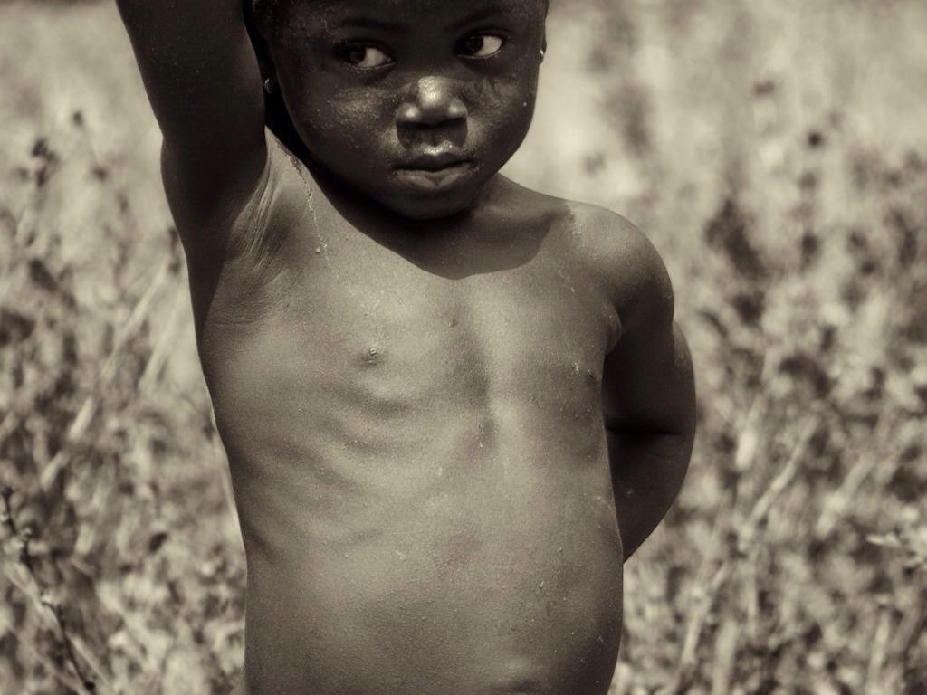 Micro by Claire Laughlin