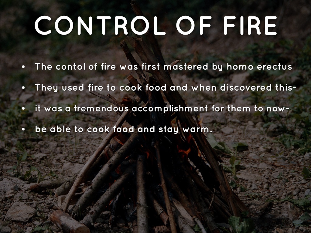 SS Project by williamsonjm21