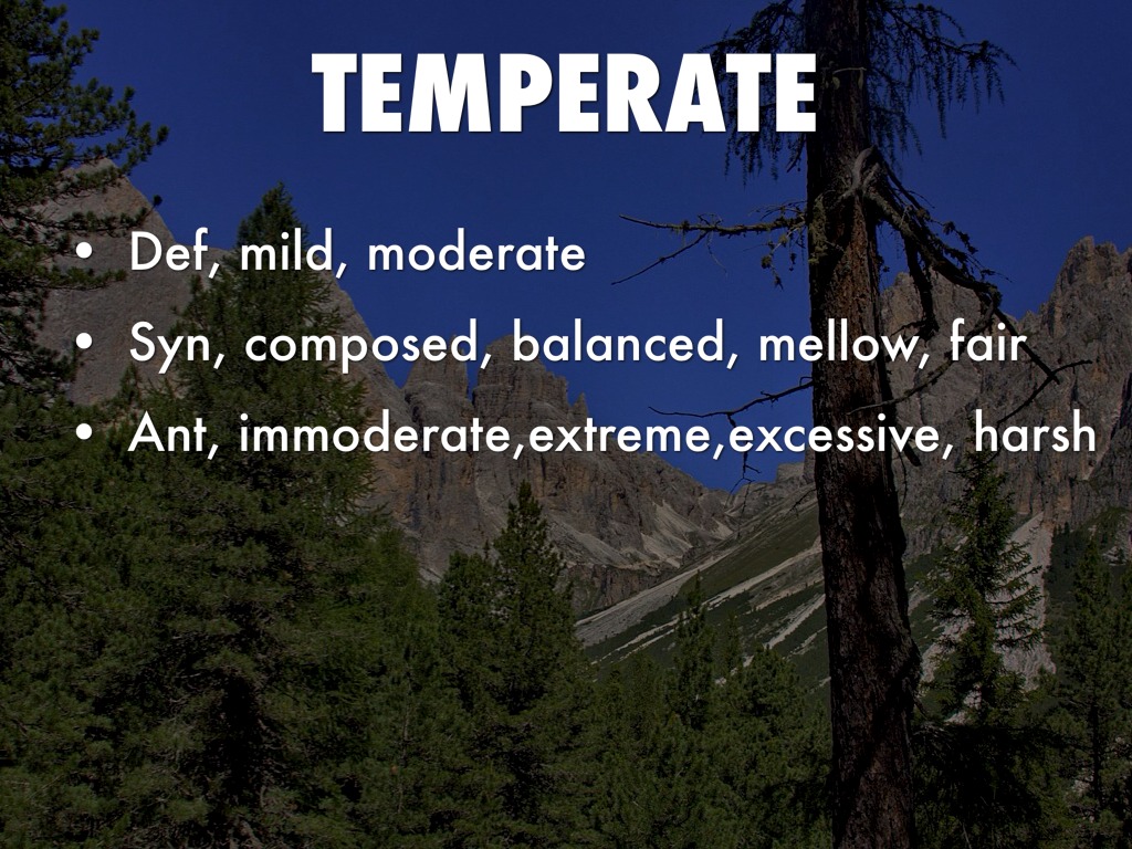 Unit 12 by osullivanmichael639