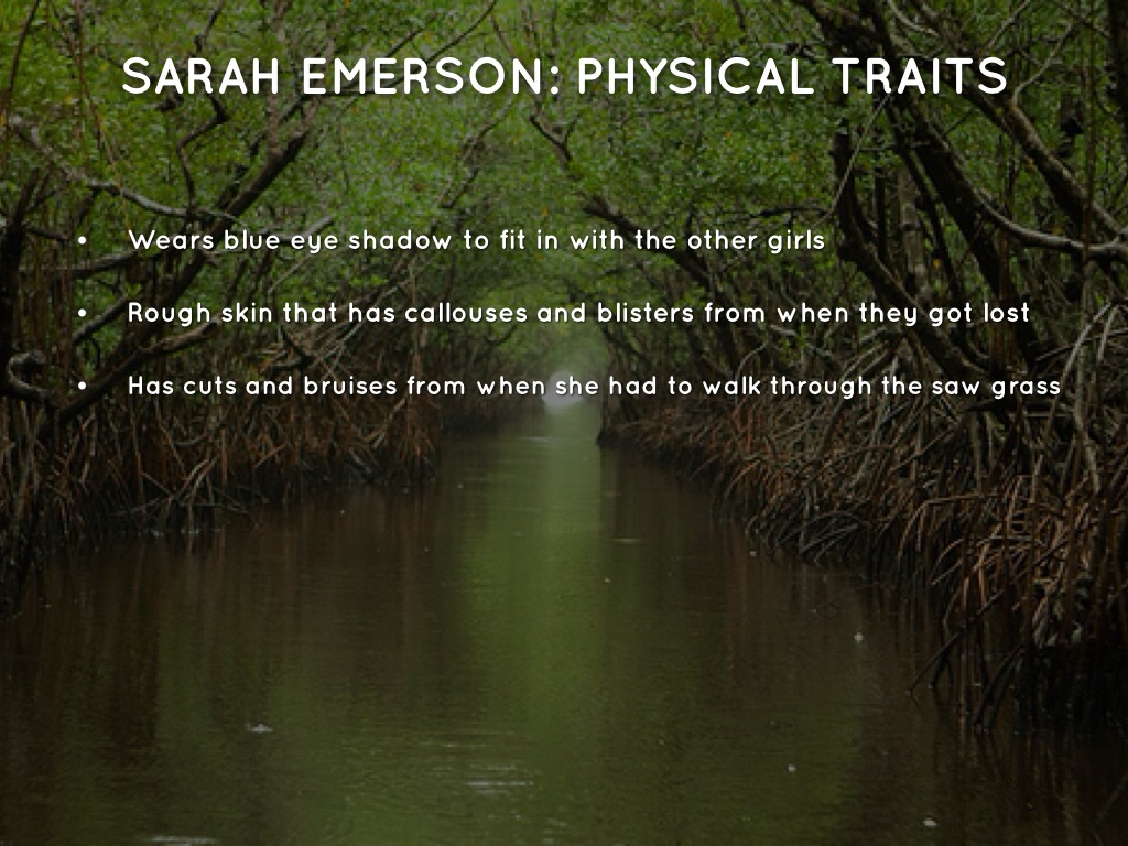 Lost in the River of Grass by Kaleigh Davis