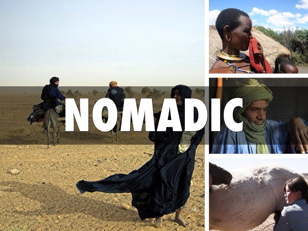 History Flash Cards by Parker Einck