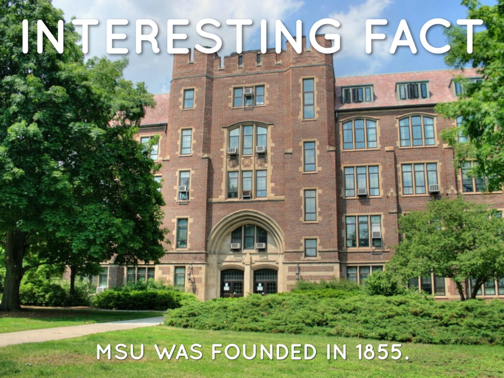 Michigan State University by Jada Mac And Cheese