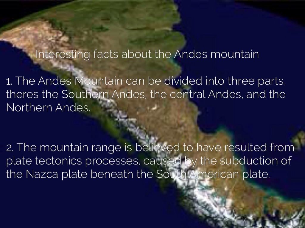 Social Studies Project by Kacyn Brown