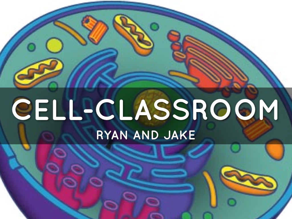 Cell Project by Ryan King