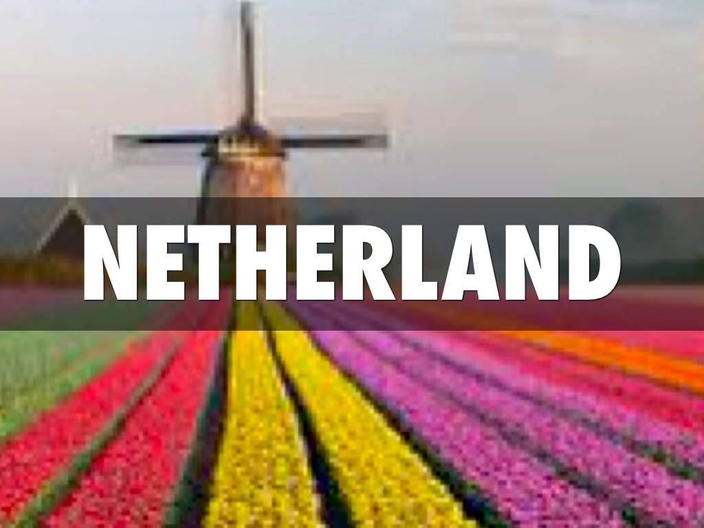 Chap 17 🇺🇸 by Kailee Hall