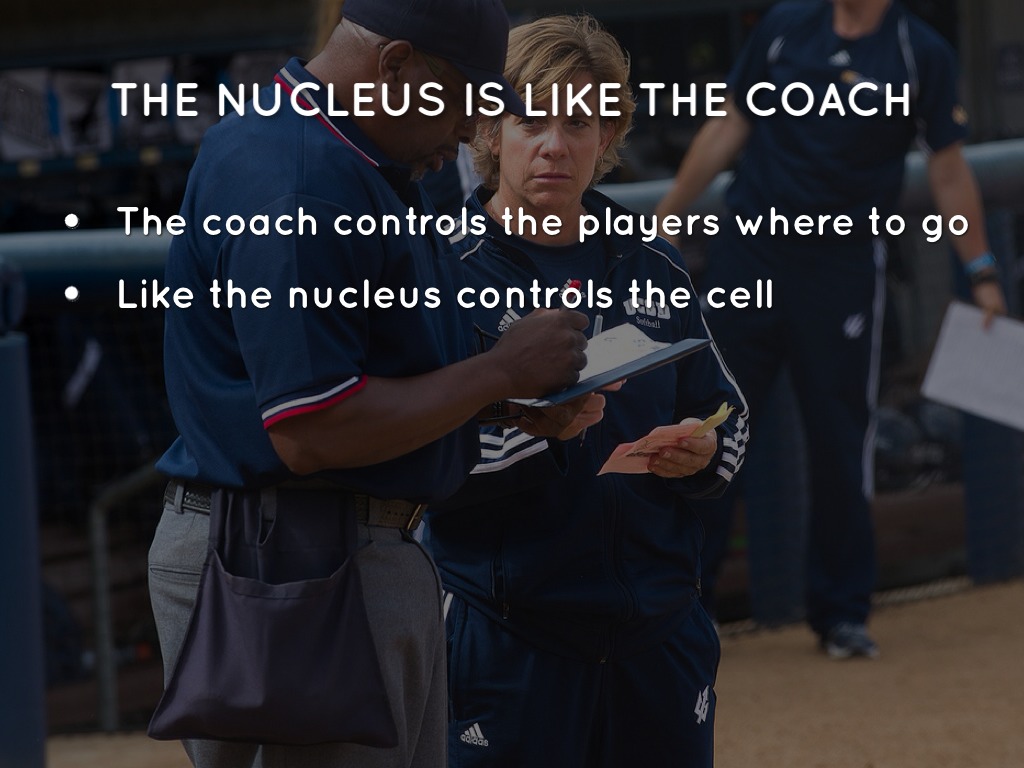 Beerbower A, Period 1, Similies by James Pifer