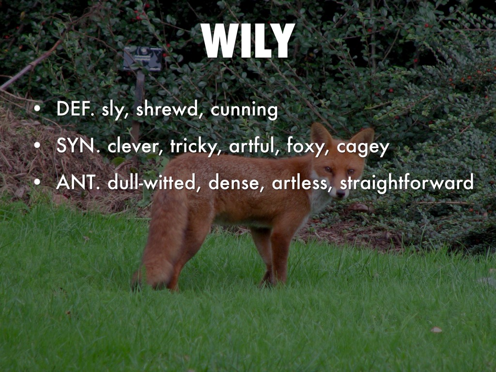 Unit 12 Vocab by Vinny Cancilla