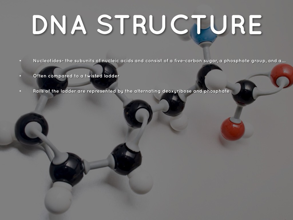 Haiku Deck In Action by Mariah Faz