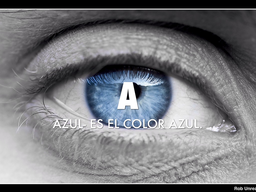 Mi Libro Del Alfabeto by Hayden Donham