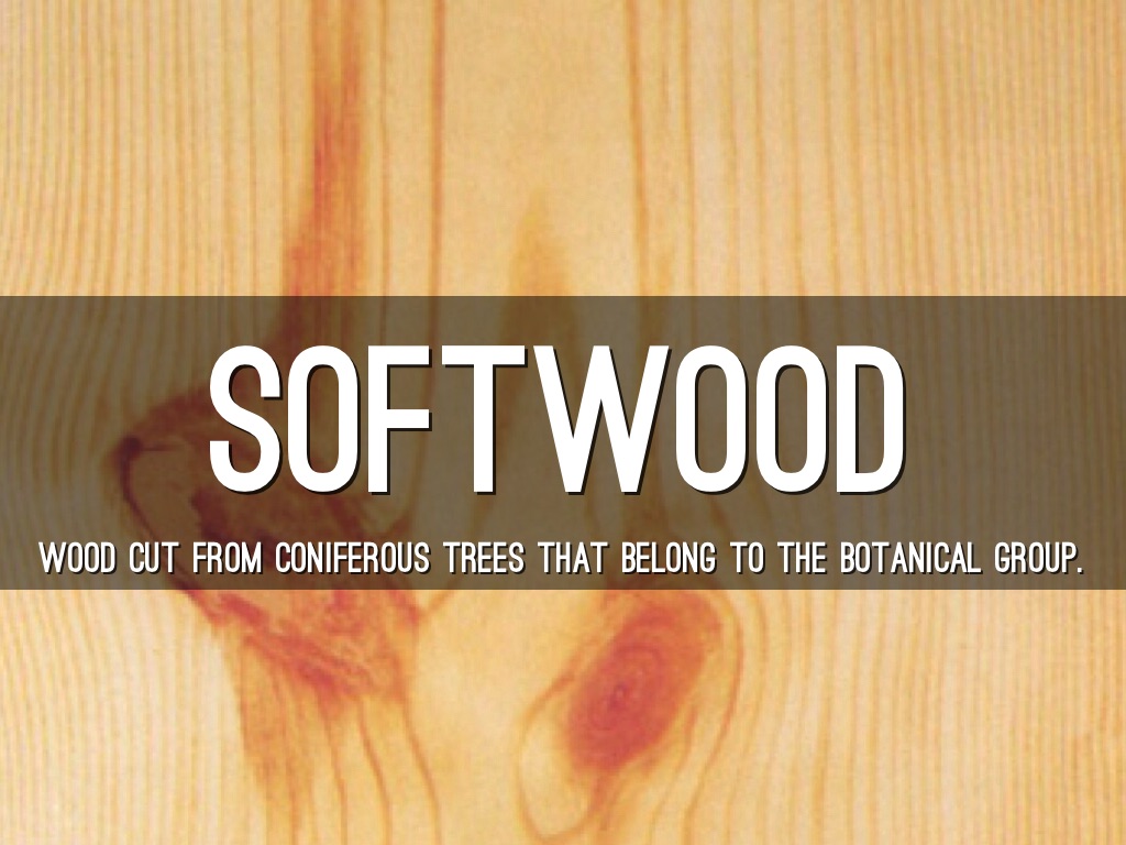 .Woodworking Vocabulary. by Wyatt Meyers