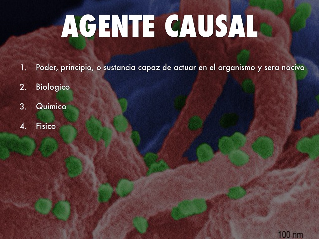 Preventiva by Gerardo Ugarte