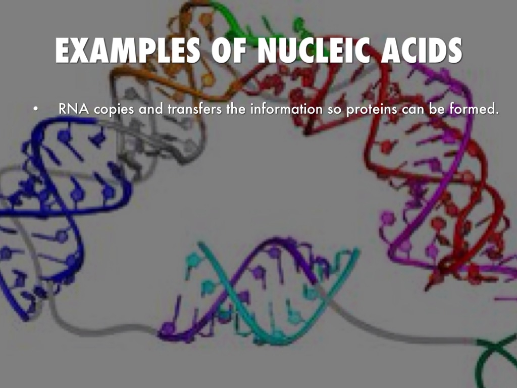 Macromolecules by allr3587