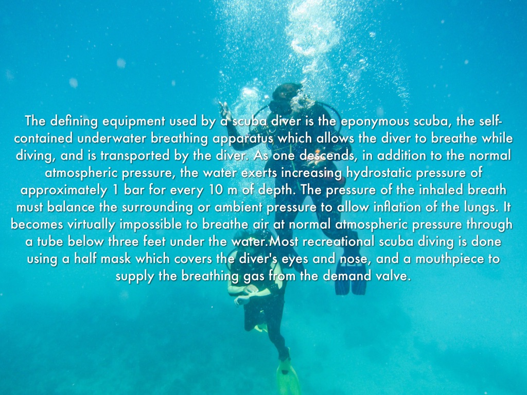 Scuba Diving by Callum Grant