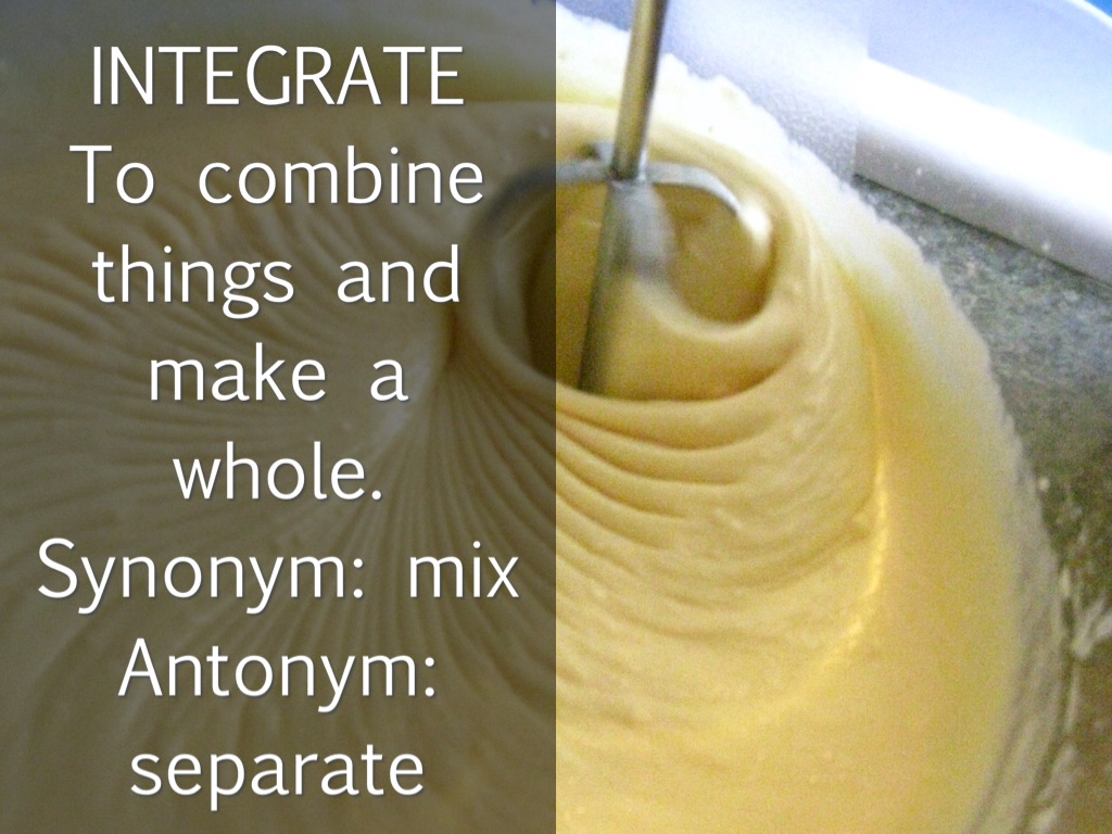 VOCABULARY IV by Faith Catherine