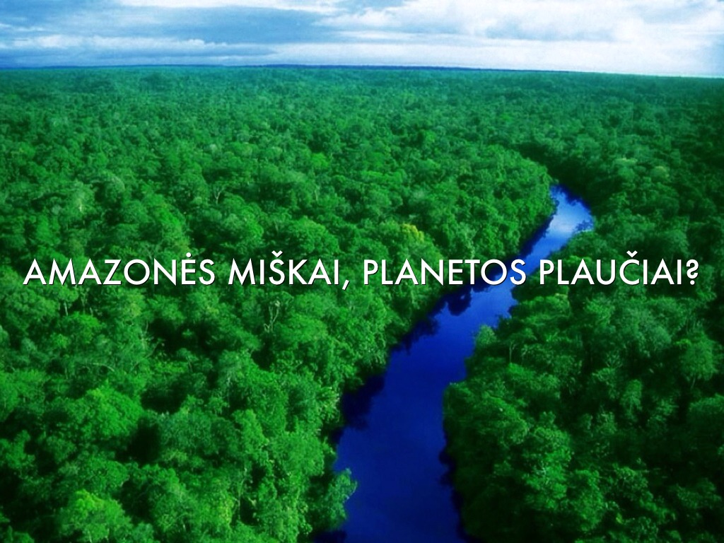 Amazonės miškų likimas