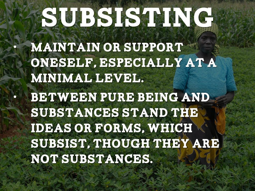 Vocabulary by Noah Juarez