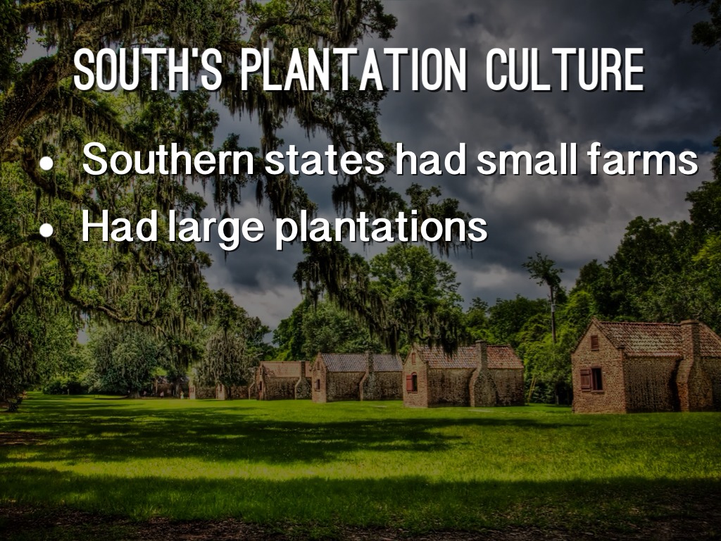 Life In The Early Americas by Amanda Coelho