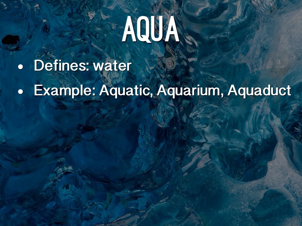 Roots by Oliver Mendoza