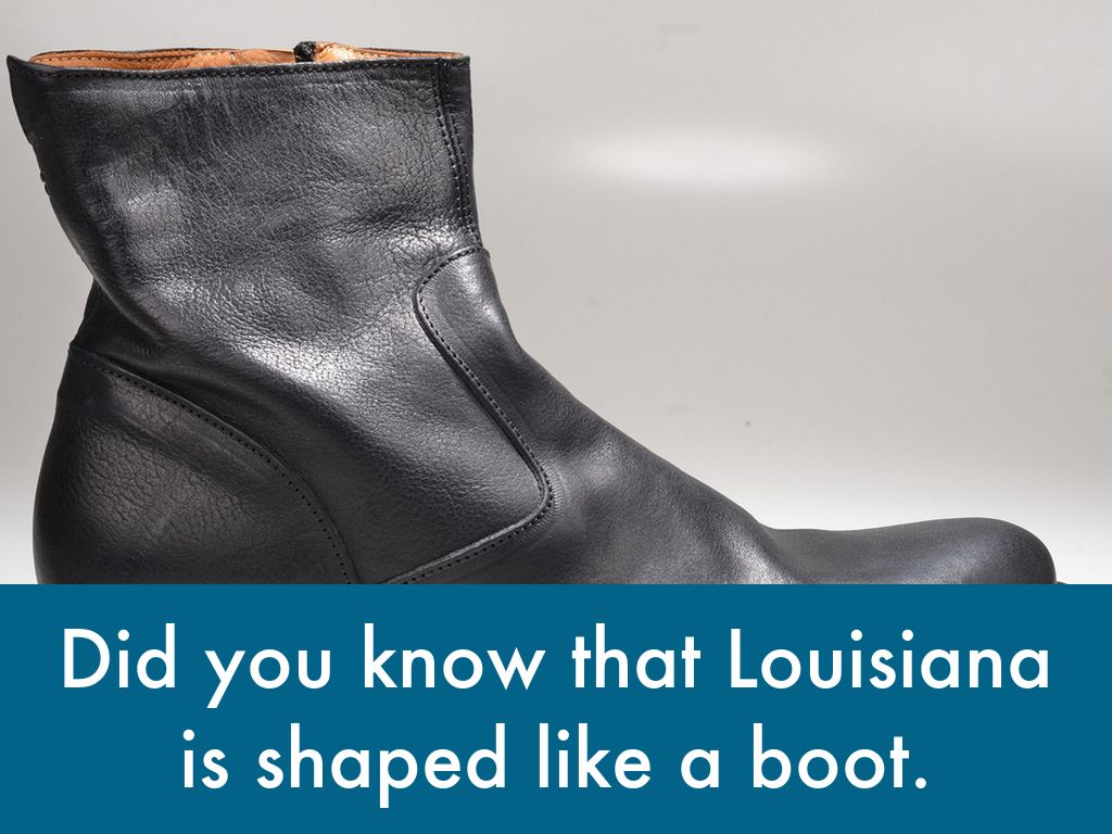 Louisiana by Wallenpaupack South Elementary